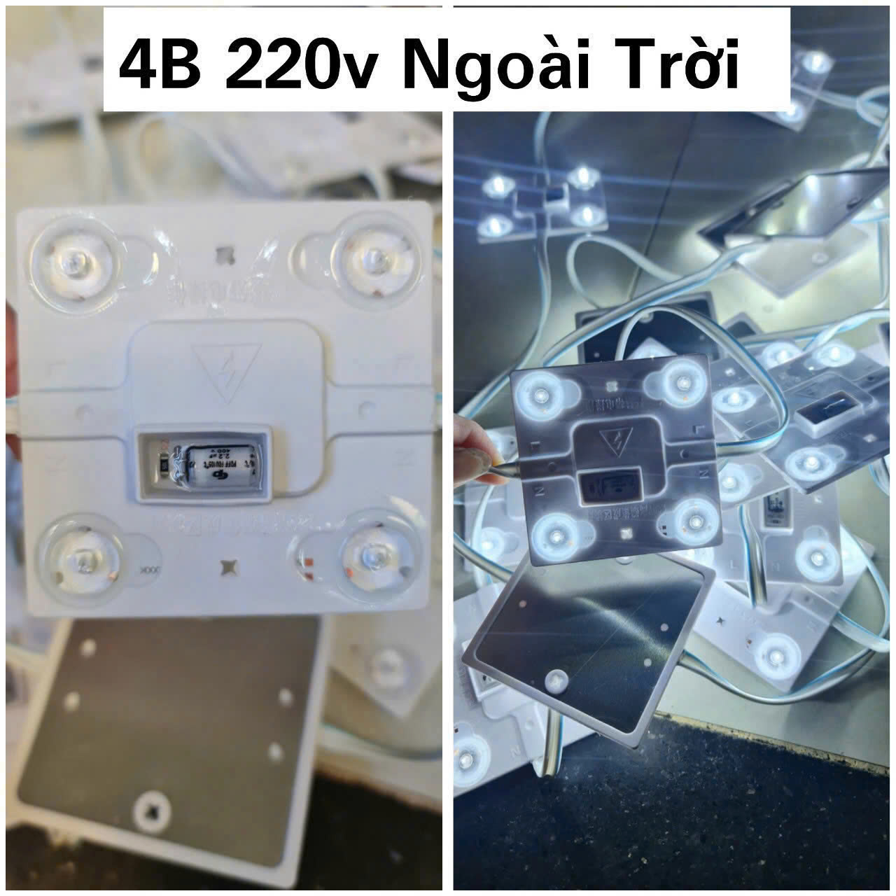 4b ngoài trới 220v trắng